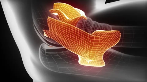 Elbow moving ligaments and joint anatomy... | Stock Video | Pond5
