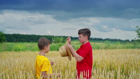 Brother Blue Video Stock Videos – Royalty-Free HD & 4K Videos | Pond5