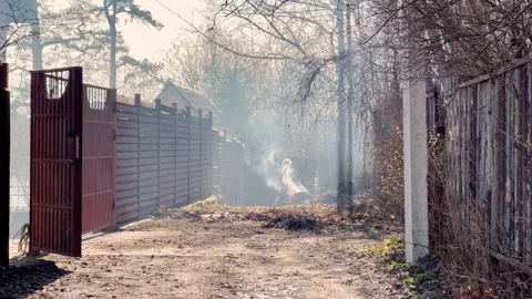 an elderly man burns old grass and leave... | Stock Video | Pond5