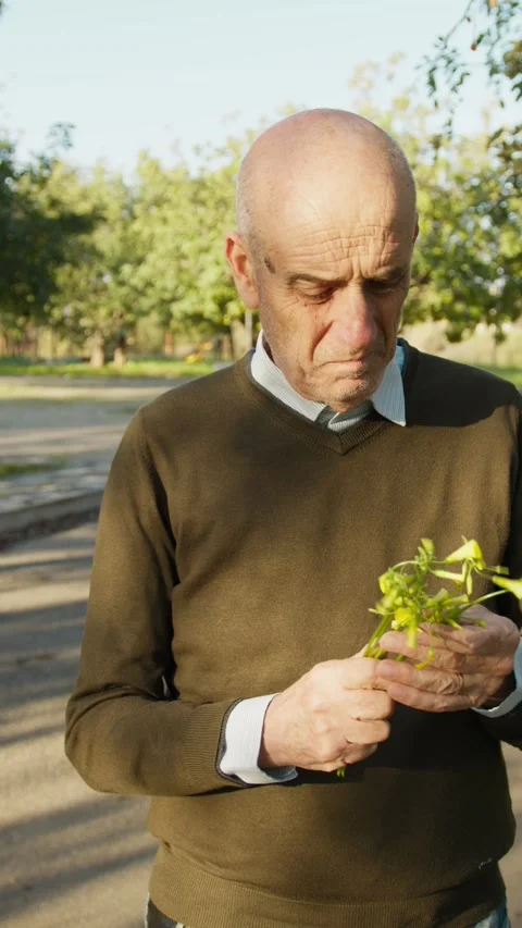 Elderly Man Smell Stock Videos – Royalty-Free HD & 4K Videos | Pond5