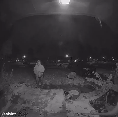 Woman Treats Neighbor Stock Videos – Royalty-Free HD & 4K Videos | Pond5