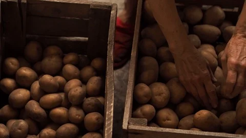 Another Box Videos Stock Videos – Royalty-Free HD & 4K Videos