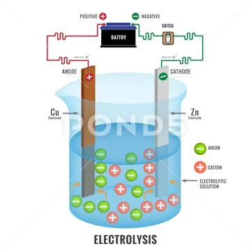 The electrolysis process vector illustration. Simple electrolysis ...