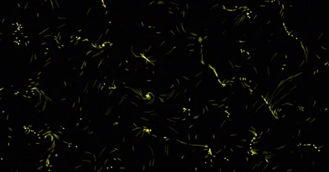 Electromagnetic Waves Stock Video Footage | Royalty Free ...