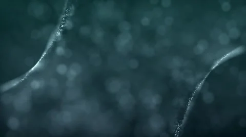 Elegant animation loop motion video back... | Stock Video | Pond5