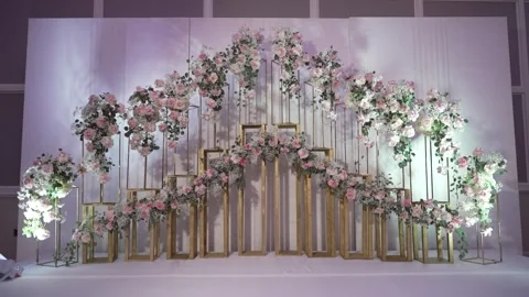 Elegant Photo Backdrop Stock Videos – Royalty-Free HD & 4K Videos | Pond5