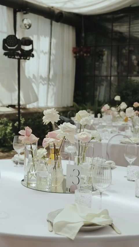 Mobile Reception Wedding Stock Videos – Royalty-Free HD & 4K Videos