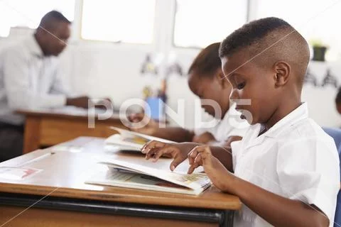 Elementary school boy reading a book in class, side view Stock Photo ...