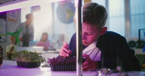 Table Sitting Stock Videos – Royalty-Free HD & 4K Videos | Pond5