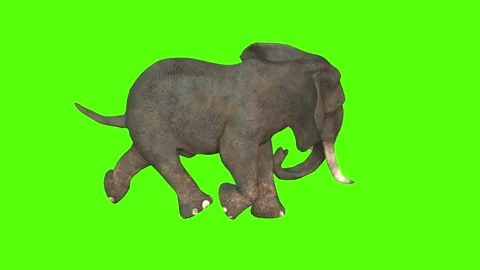 Elephant Attack Green Screen Animation a... | Stock Video | Pond5