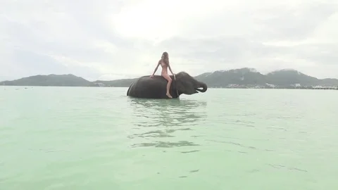 Elephant with Girl Riding in the Ocean i... | Stock Video | Pond5