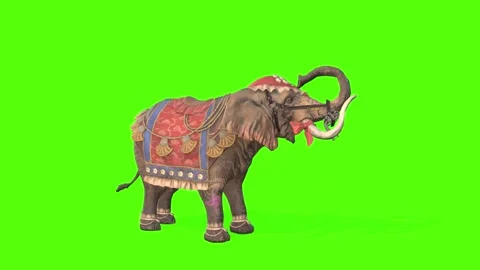 Elephant idle Green Screen Animation 3D ... | Stock Video | Pond5