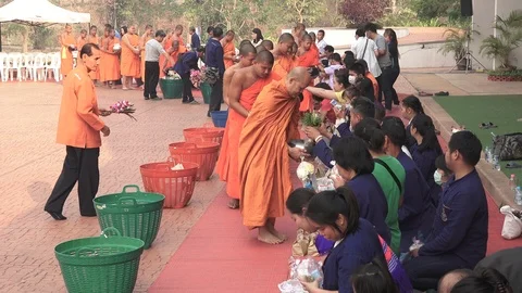 Elephant monk activity monk group on the... | Stock Video | Pond5