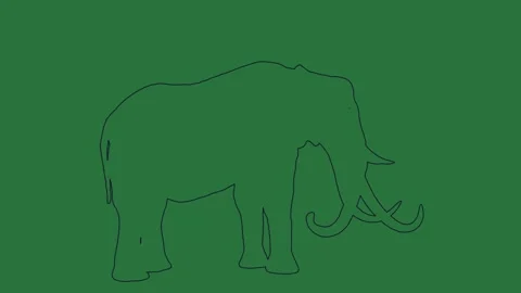 An elephant standing on a green backgrou... | Stock Video | Pond5