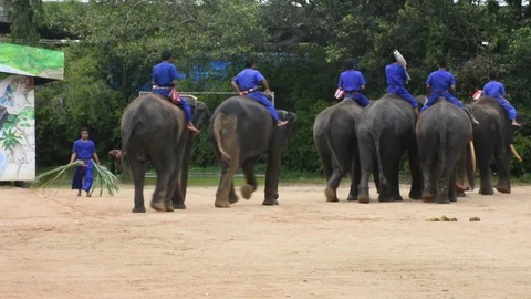 Game Show Theme Stock Videos – Royalty-Free HD & 4K Videos | Pond5