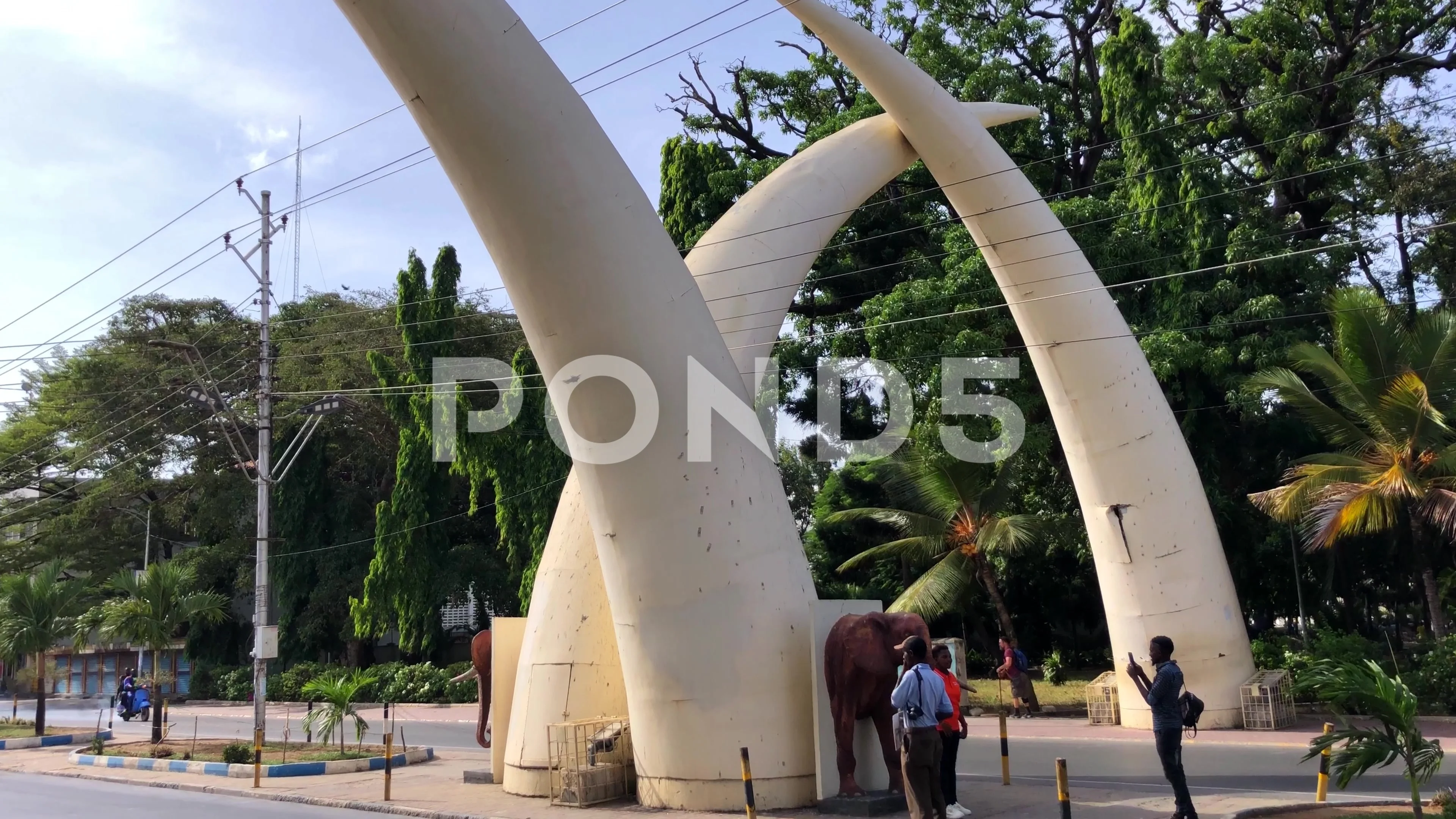 Elephant Tusks Mombasa