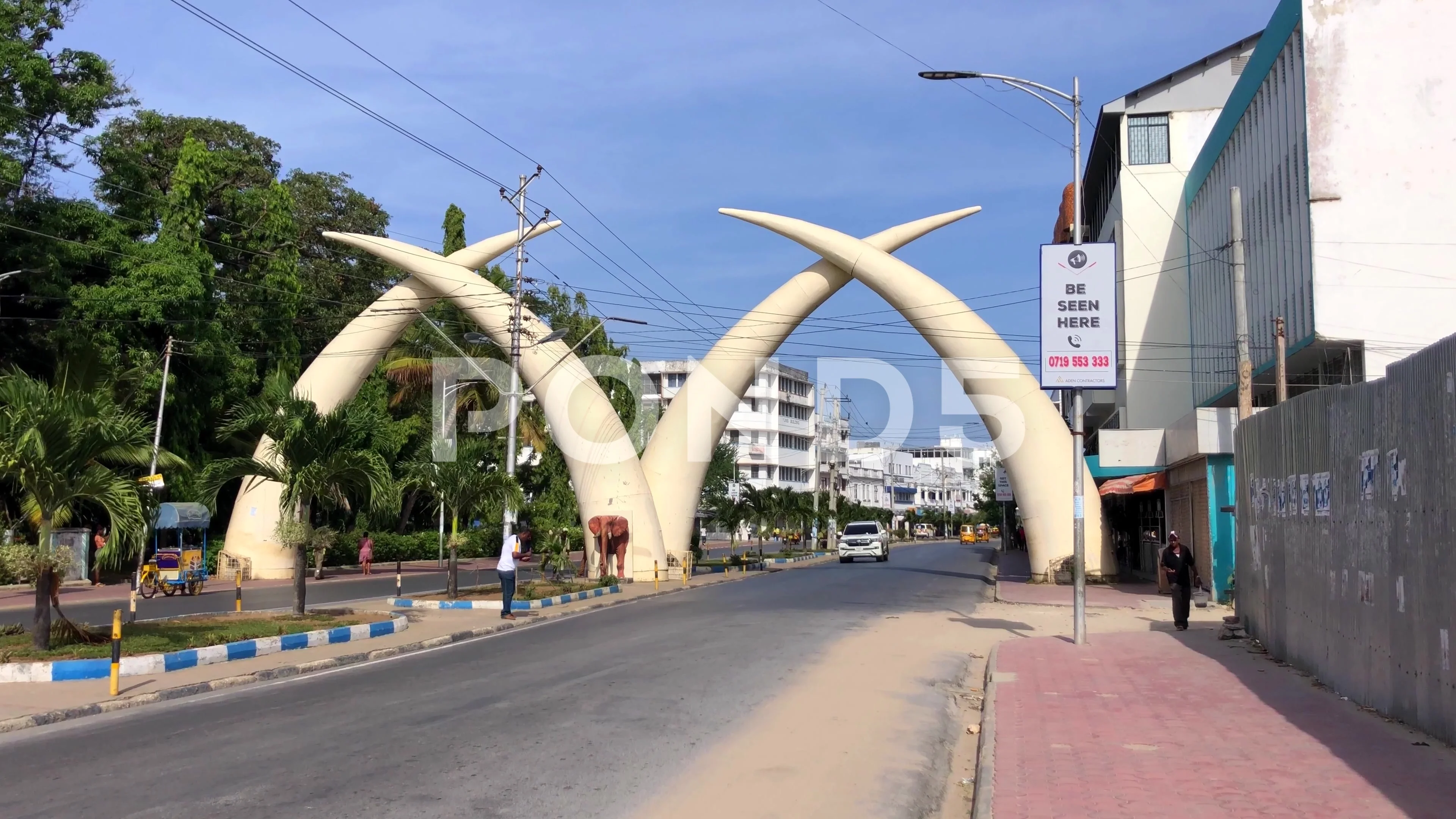 Elephant Tusks Mombasa