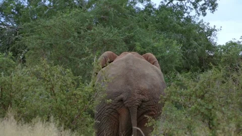 Big Bum Bum Stock Footage ~ Royalty Free Stock Videos | Pond5