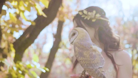 Sexy Little Nymphs Stock Videos – Royalty-Free HD & 4K Videos