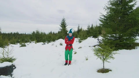 Elf standing out in the cold | Stock Video | Pond5