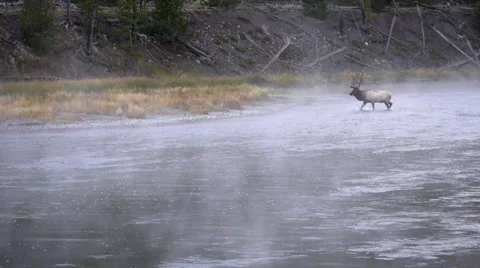 River Park Crossing Stock Videos – Royalty-Free HD & 4K Videos | Pond5