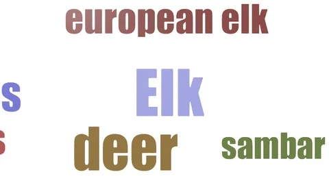 Elk Word Cloud Animated Isolated On Whit... | Stock Video | Pond5