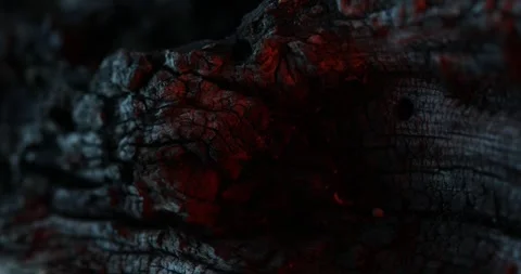 Ember Glow on Charcoal Wood Texture. | Stock Video | Pond5