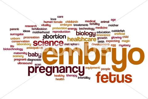 Embryo word cloud: Vector, Graphic, Illustration #67280957