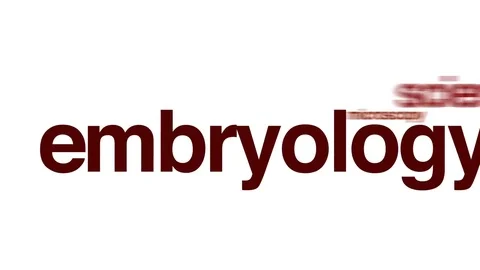 Embryology animated word cloud. | Stock Video | Pond5