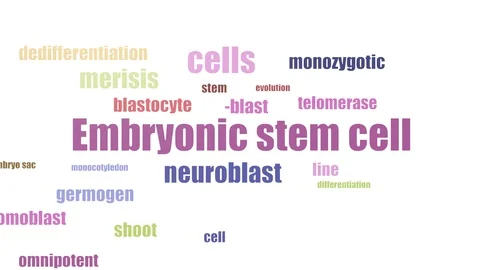 Embryonic Stem Cell Tag Cloud Animated O... | Stock Video | Pond5