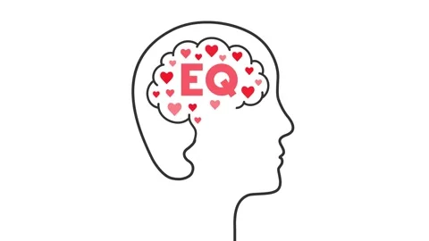 Eq Stock Videos – Royalty-Free HD & 4K Videos