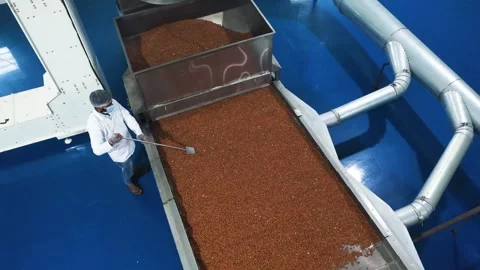 employee doing hard work in processing p... | Stock Video | Pond5