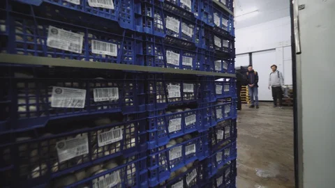 employee loads pallet full of boxes with... | Stock Video | Pond5