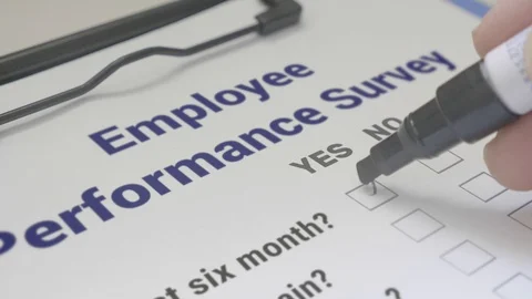 Employee Survey Stock Videos – Royalty-Free HD & 4K Videos | Pond5