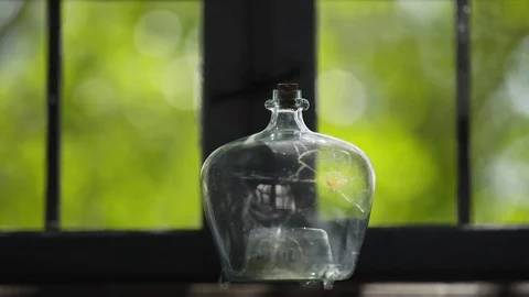 Empty Bottle Design Stock Videos – Royalty-Free HD & 4K Videos | Page 2