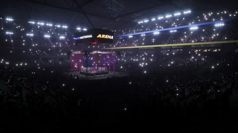 Boxing Arena Stock Video Footage | Royalty Free Boxing Arena Videos | Pond5