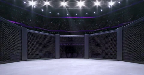 Worrior Fight Animation Stock Footage ~ Royalty Free Stock Videos | Pond5