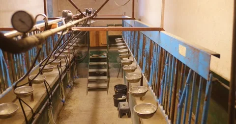 Empty goat milking system inside farm bu... | Stock Video | Pond5