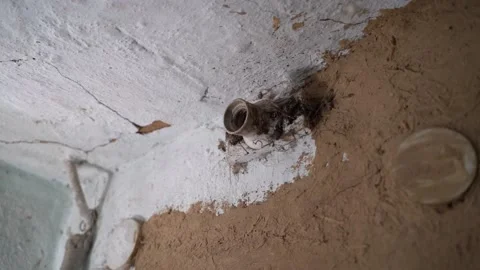Empty light bulb socket on an old clay w... | Stock Video | Pond5