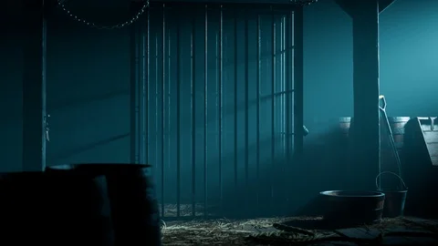 Cage Trailer Stock Videos – Royalty-Free HD & 4K Videos