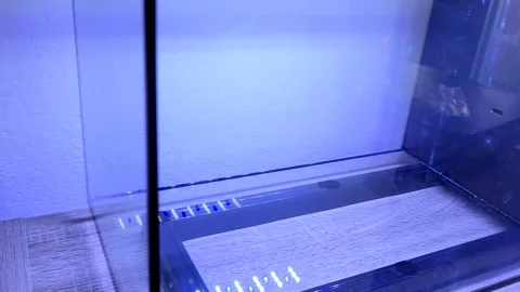 Empty new slatwater tank with light | Stock Video | Pond5
