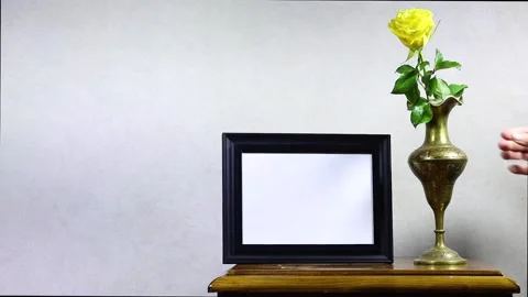 Yellow Gold Picture Stock Videos – Royalty-Free HD & 4K Videos | Pond5