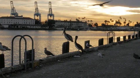 Empty Wharf At Sunrise 4K | Stock Video | Pond5