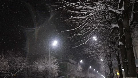 Empty Street Night Winter Stock Videos – Royalty-Free HD & 4K Videos
