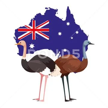 Emu and ostrich with map of australia in the background: Graphic #124205801