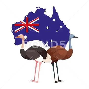 Emu and ostrich with map of australia in the background Illustration ...