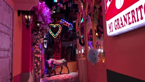 Fuego Fire Stock Videos – Royalty-Free HD & 4K Videos