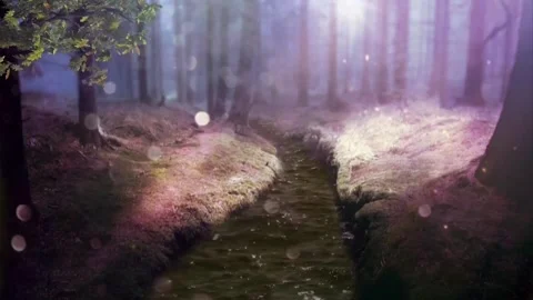 Enchanted forest loopable HD background ... | Stock Video | Pond5