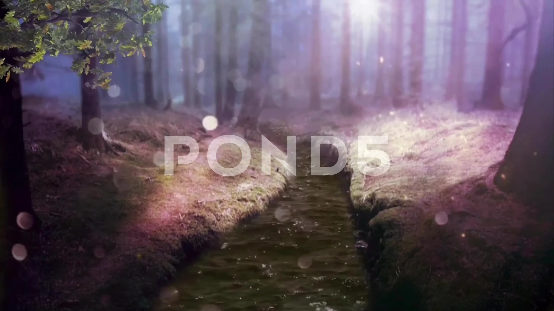 Enchanted Forest Desktop Wallpaper