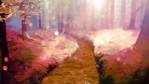 Enchanted forest loopable HD background ... | Stock Video | Pond5